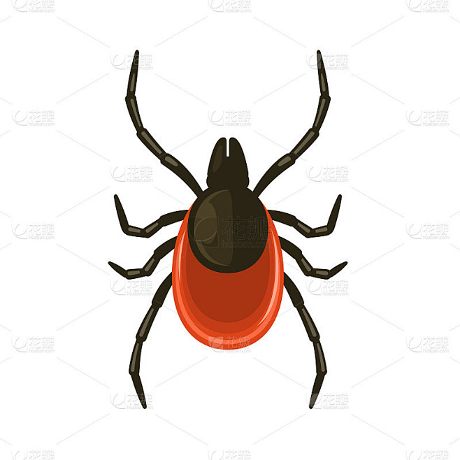 在白色背景上勾选图标。平面样式Bug向量