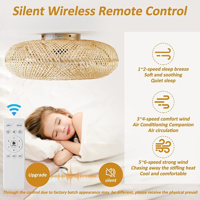 Amazon.com: hummingbird Boho Ceiling Fan with Lights Flush Mount, 20 ...