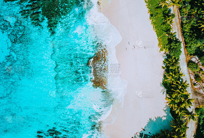 航拍塞舌尔马埃岛令人惊叹的天堂般的热带海滩Anse Bazarca。白色的沙子，绿松石的海水，棕榈树