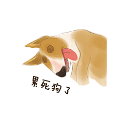 累死狗了 单身狗宽宽表情包-花瓣网