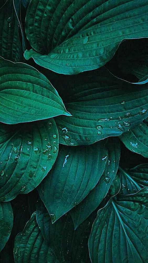 March theme-花瓣网