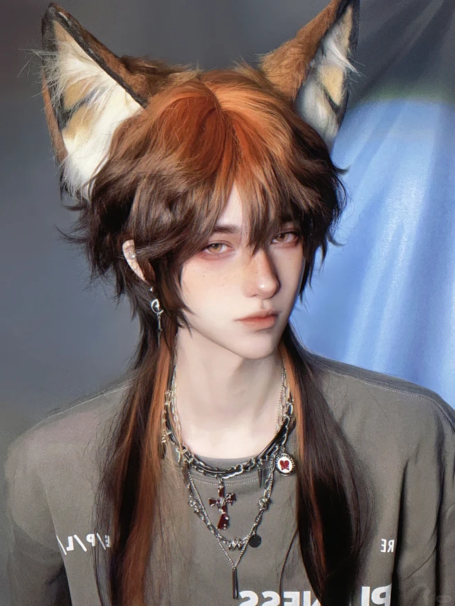 小狐狸2.0 - 小红书-花瓣网