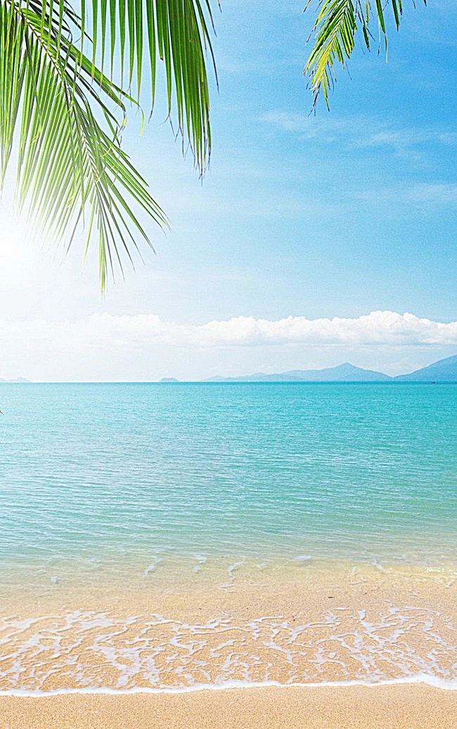 夏日H5背景- HTML素材网-花瓣网