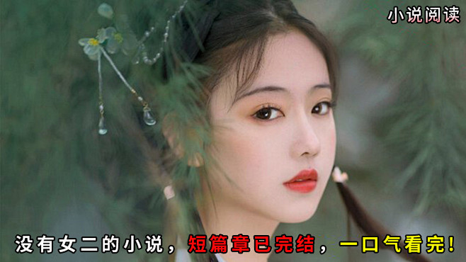 女-古言-大图-无-26LSQ-0930 (12)