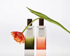 品牌-LOEWE图片大全-品牌-LOEWE高清好看的图片--花瓣土豆菠萝红番茄的画板