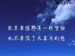 语句优美的句子_360图片-花瓣网