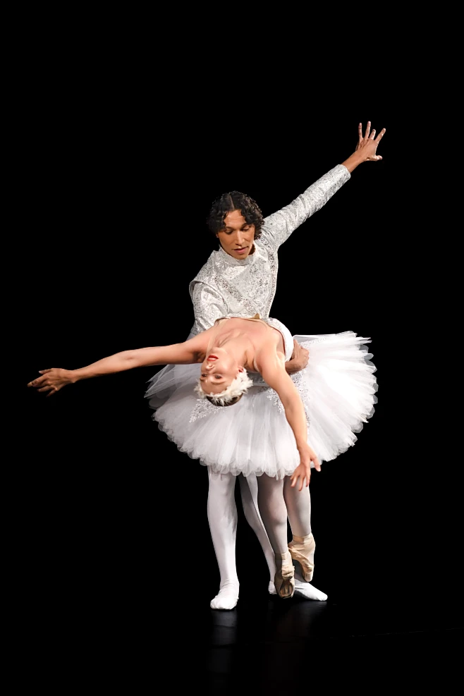 DANCE swan Performance actress White music live northstar ballet The ...