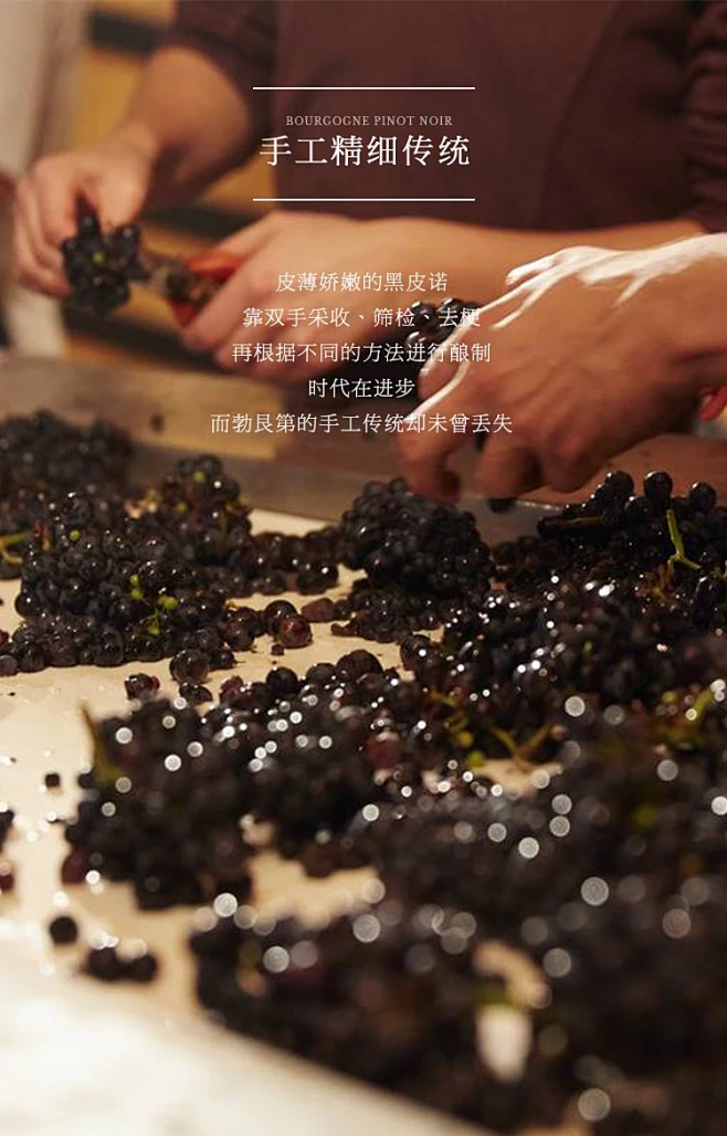 【菲特瓦京东自营品质】法国菲特瓦（Fitoroux）传奇系列干红葡萄酒 750ml 整箱 勃艮第AOC原瓶进口红酒送礼礼盒 【夏隆内丘村庄级· ...