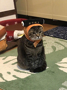 ddww kkaa-花瓣网|陪你做生活的设计师