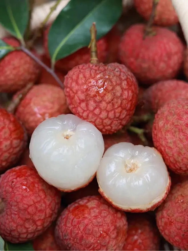 白糖罂荔枝的搜索结果_百度图片搜索-花瓣网