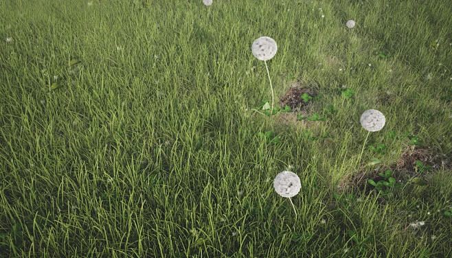 CGI grass patches : Cgi grass patches-花瓣网