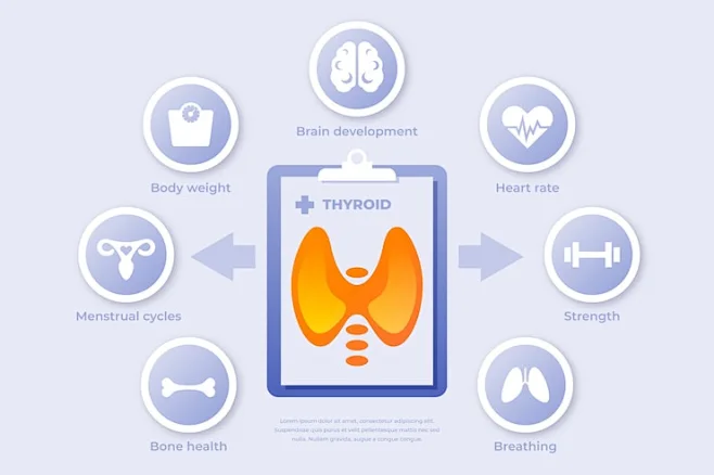 Gradient thyroid infographic-花瓣网