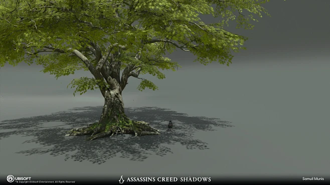 Assassin's Creed Shadows - Maple Trees-花瓣网