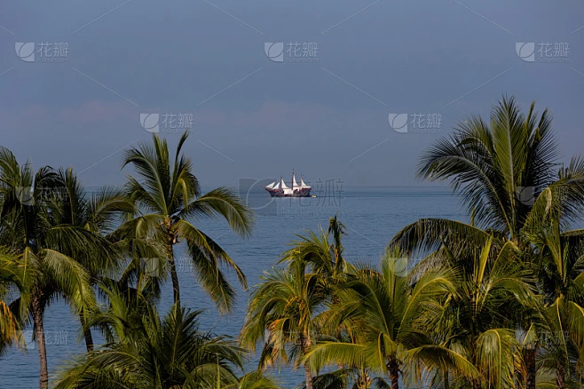 Arrggh ...海盗素材-花瓣网