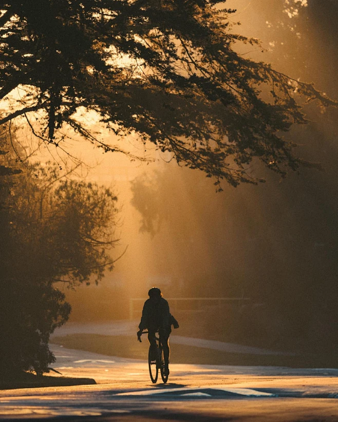 Joshua Singh-花瓣网