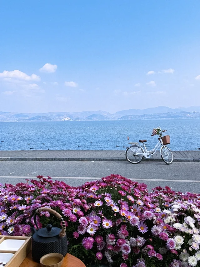 大理海景下午茶文案 - 小红书搜索-花瓣网