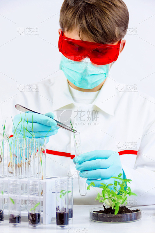 转基因,商品,除草剂,农学家,钳夹,基因突变,长寿饮食,杀虫剂,外科手套,垂直画幅