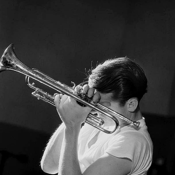 花瓣灵感详情页-花瓣网