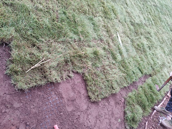 QQ图片20200804150808