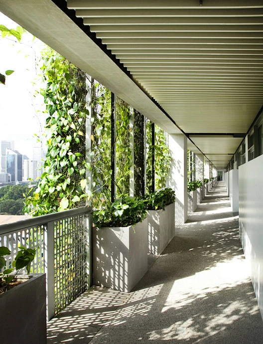 © Patrick Bingham Hall-花瓣网