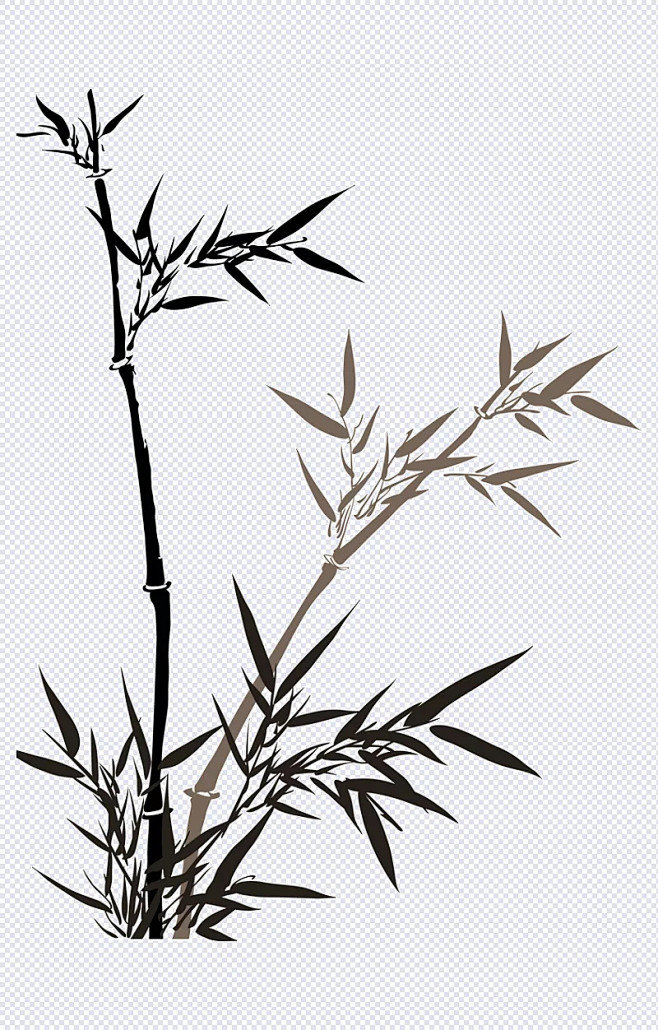 潇洒文竹图片|墨竹,竹,水墨,竹子,竹叶,山水画,中国风,手绘,免抠元素,免抠图片,png图片,png素材,装饰元素,免抠素材,装饰元素,免抠素材