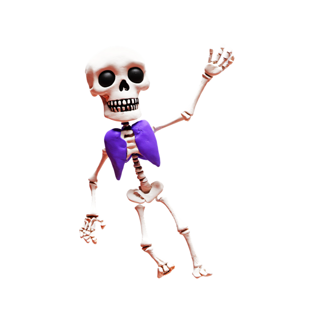 skeleton_02