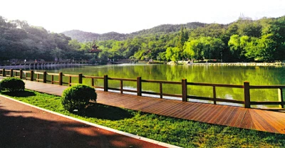 木栈道_百度图片搜索-花瓣网