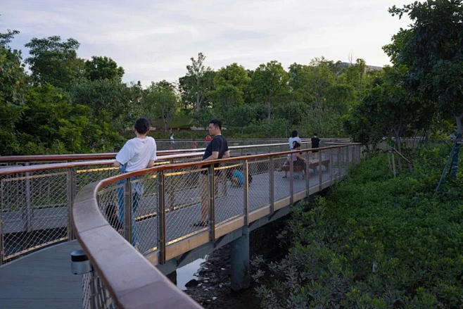 深圳.桂湾公园 JCFO © FIELD OPERATIONS-花瓣网