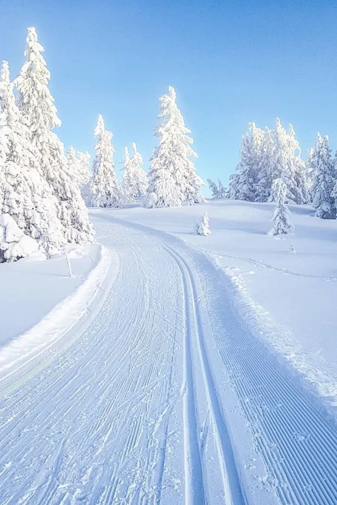 (16) Pinterest-花瓣网