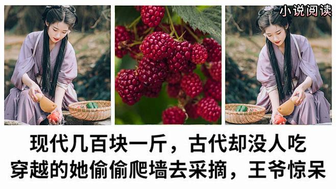 女-古言-大图-无-26LSQ-1024 (4)