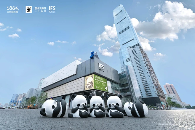 长沙IFS 1864大熊猫巡展