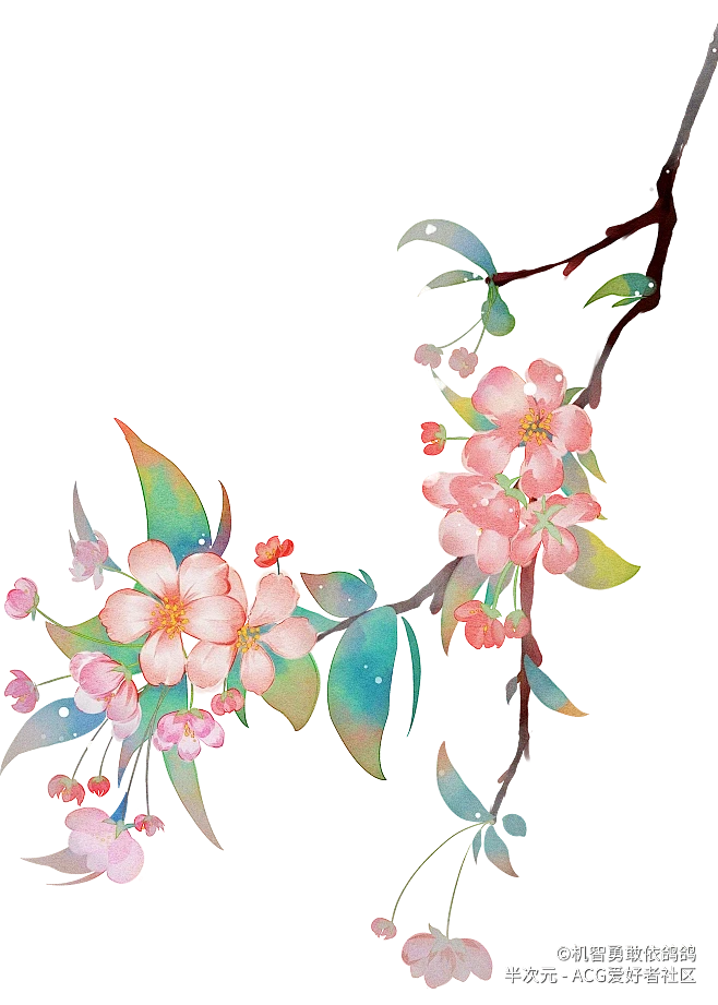 a8626a965db3916bd849b7bdb41017d22c226d1422e427-2xlUxg_fw658webp-花瓣网