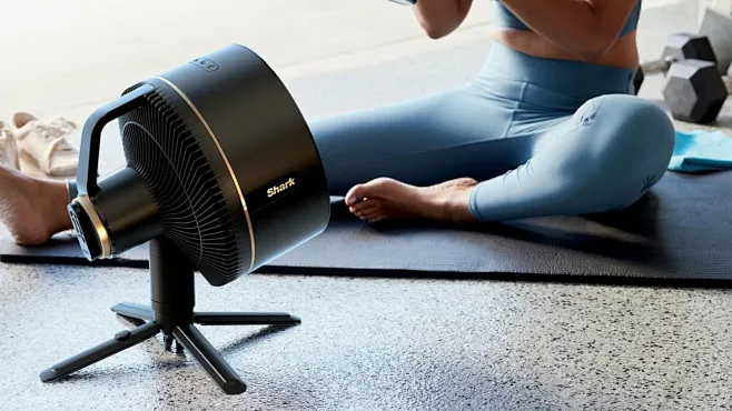 Shark FlexBreeze FA222: Cordless Indoor/Outdoor Fan-花瓣网