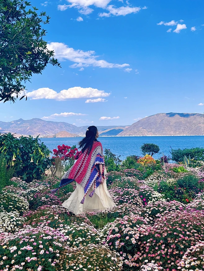 大理洱海｜廊桥这里的花海真的太仙啦‍♀️