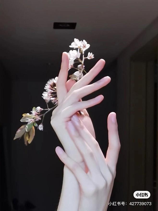 IMG_0192(20230423-145231)