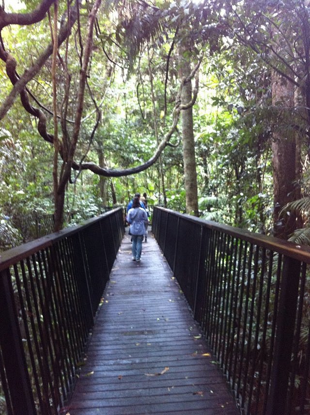 集装箱景观、民宿(185图)_@76UYERDY收集_花瓣建筑设计雨林里的栈道,丑女无敌138