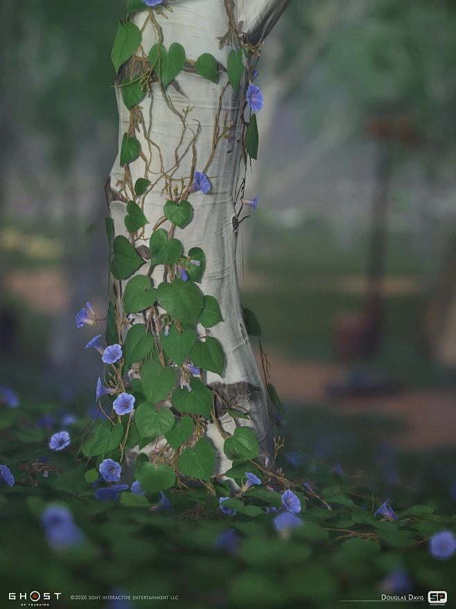 douglas-davis-douglasd-morningglory-01-花瓣网