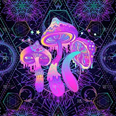 Um dreka: swamp plants, Marina Goryacheva : Um dreka: swamp plants by Marina Goryacheva on ...