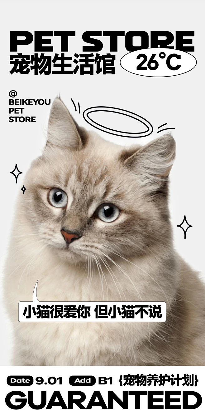 PETSTORE海报-04-花瓣网
