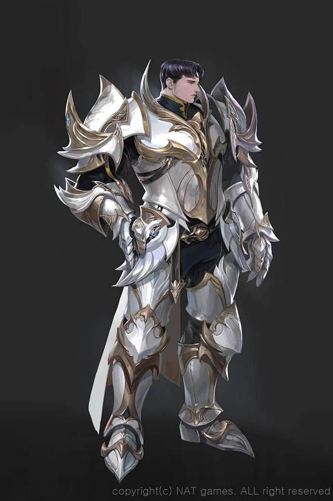 project V4, jee wook Choi (c juk) : copyright(c) NAT games. ALL right ...