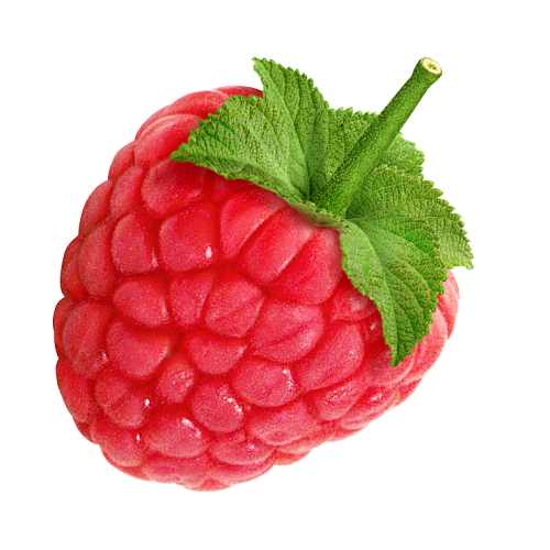 raspberry_PNG5064.png (500×500)