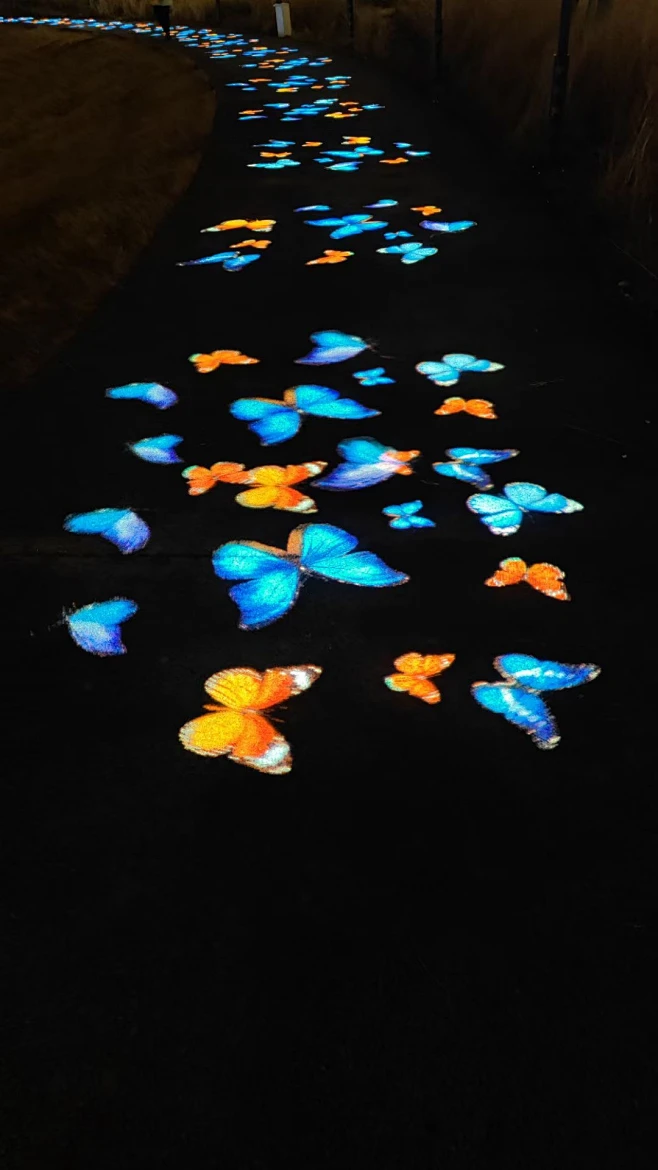 2022_01_28_09_35_IMG_3020-花瓣网