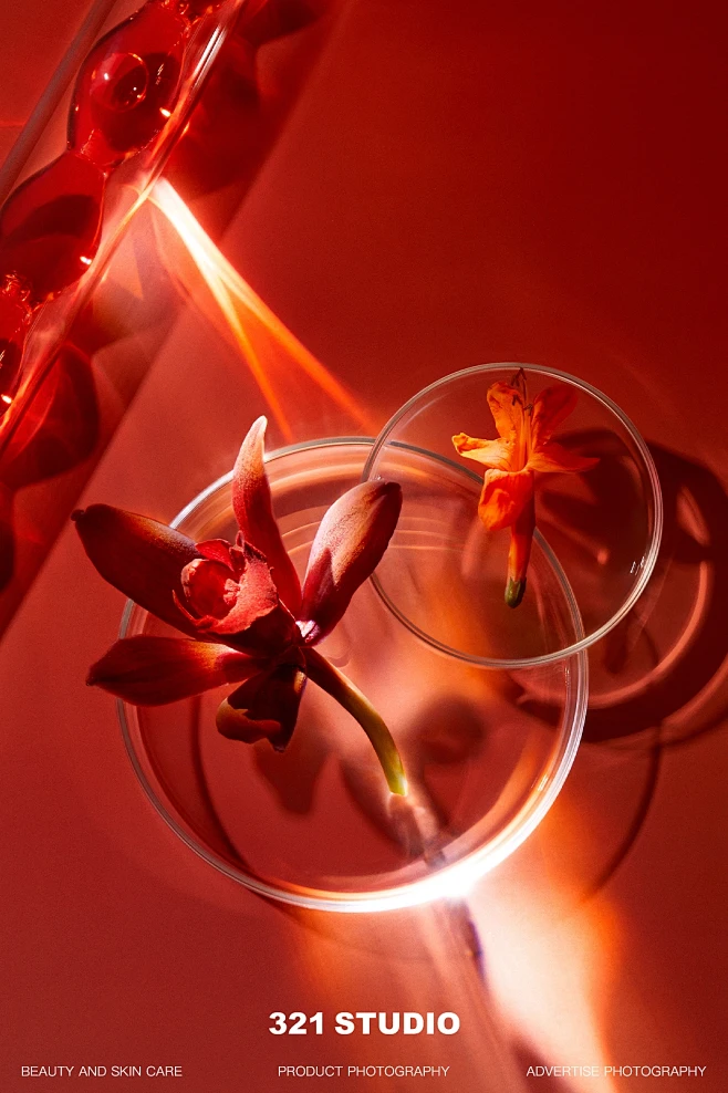 01a62367ab0c88cd013170005d5f1e-花瓣网