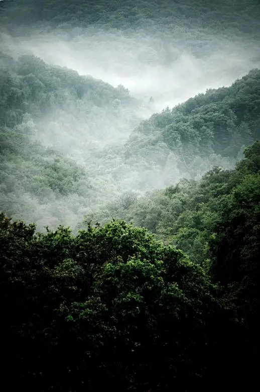 Free Stock Photo of Mist Created by Merelize-花瓣网