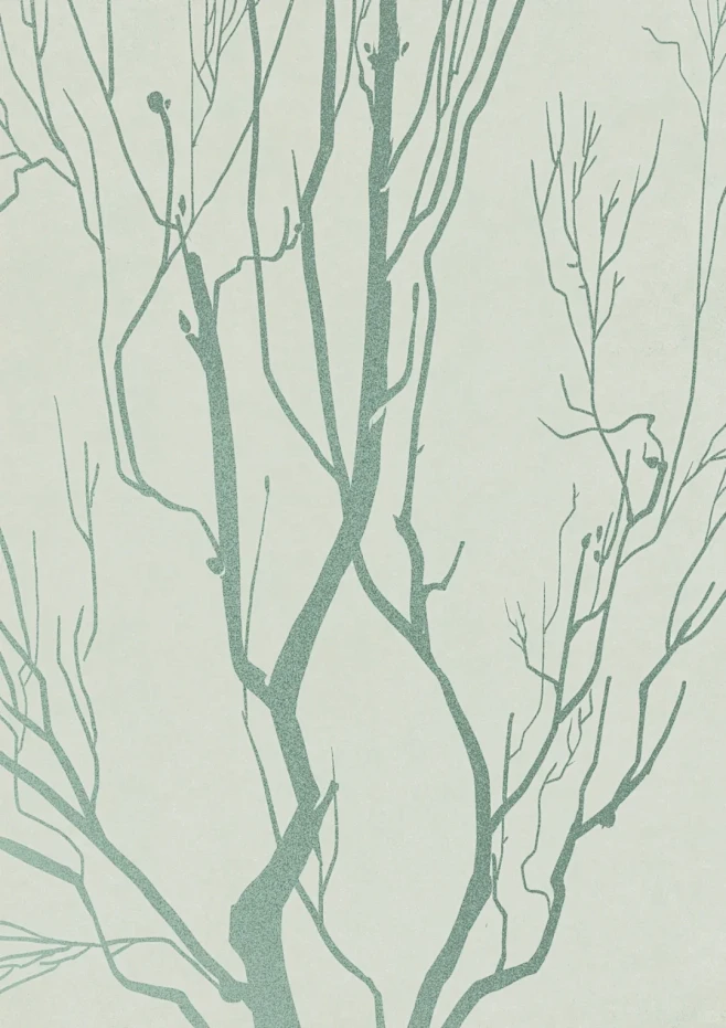 Cyan Lin 插画｜居家期间的窗 - 小红书-花瓣网