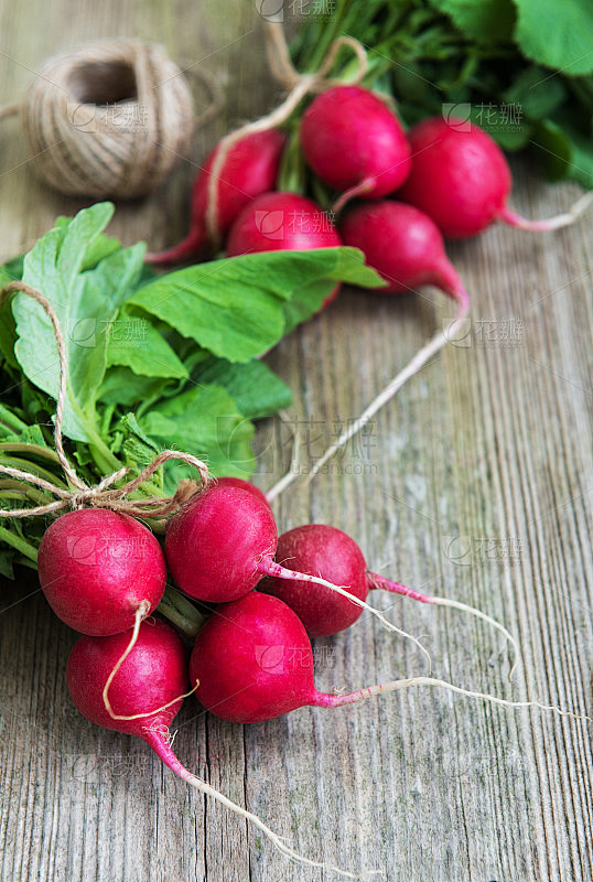 新鲜的紫色redish