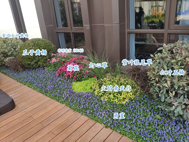 fdd53b1c-0c81-4695-9aca-38a1ccfddbb7.jpg-花瓣网