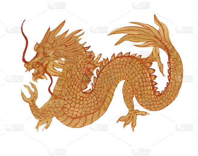金色的龙被漆隔离在白色的背景上。亚洲，中国，日本龙孤立在白色背景。