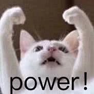 猫咪表情包 power！