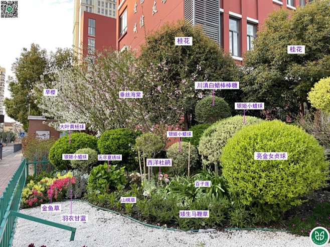 上海街道绿化-花瓣网